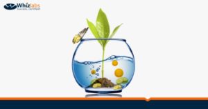 Enterprise Environmental Factors and Their Influence - Whizlabs Blog