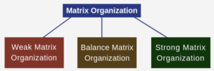 Matrix Organizational Structure : A Detailed Guide [New]