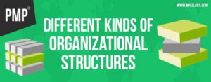 PMP : Different Kinds of Organizational Structures - Whizlabs Blog