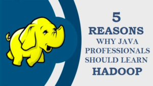 5 Reasons Why Java Developers Should Learn Hadoop - Whizlabs Blog