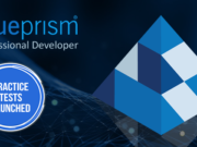 Roles and Responsibilities of Blue Prism Developer - Whizlabs Blog