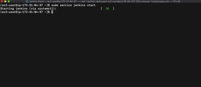 Jenkins Tutorial for beginners | Learn How to Install on EC2