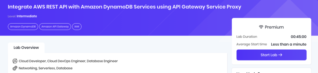 AWS Certified DevOps Engineer Professional Hands-on Labs