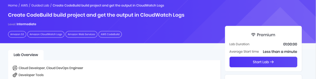 AWS Certified DevOps Engineer Professional Hands-on Labs