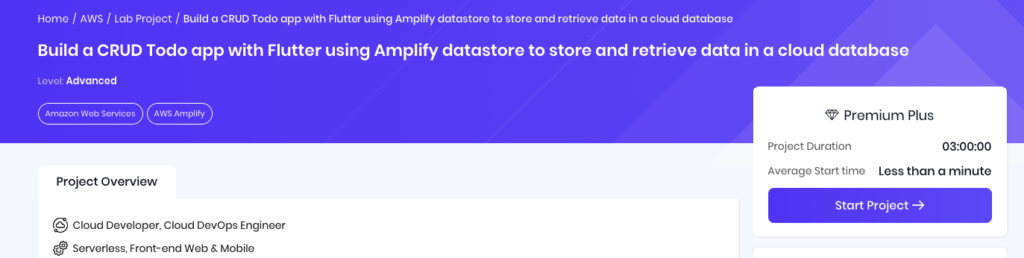 AWS Certified DevOps Engineer Professional Hands-on Labs